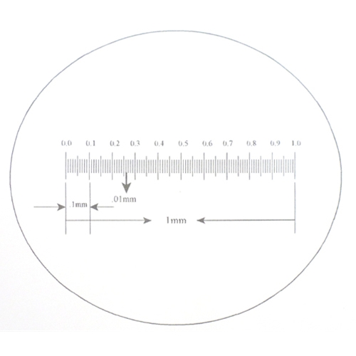 Stage Micrometer 100 Um Divisions 54 OFF